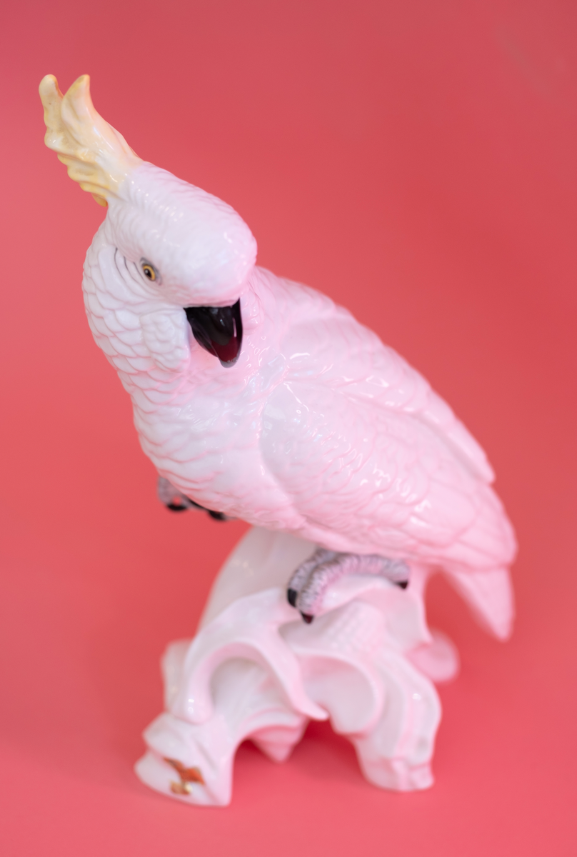 Mid-Century Modern Crown Staffordshire Cockatoo by J. T. Jones – The ...