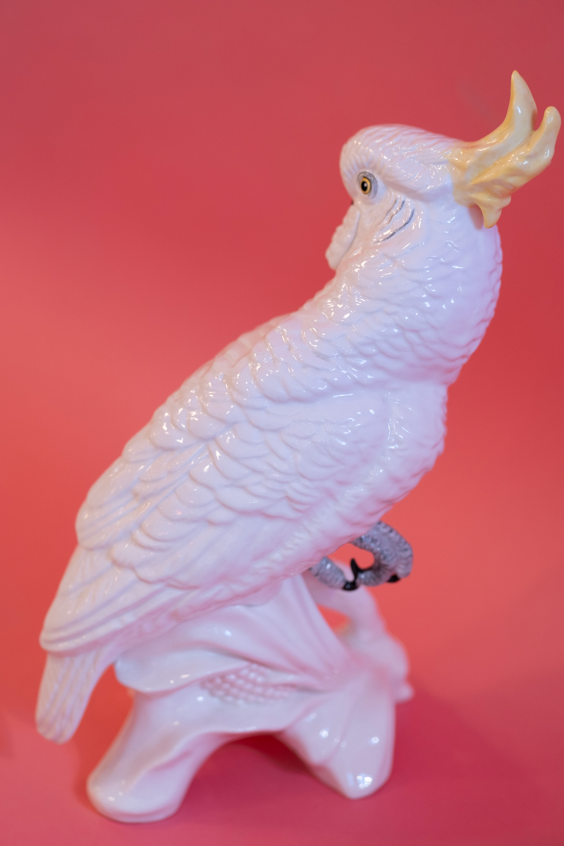 Mid-Century Modern Crown Staffordshire Cockatoo by J. T. Jones – The ...