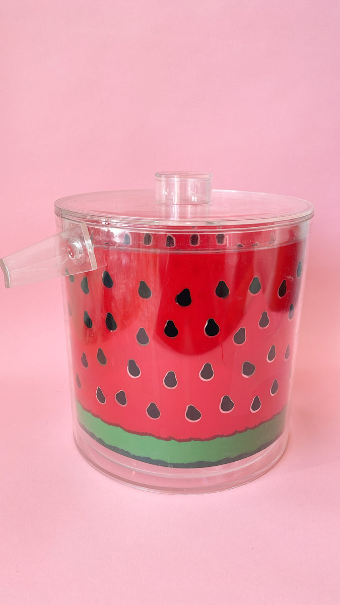 Vintage Watermelon Ice Bucket – The Apartment TO