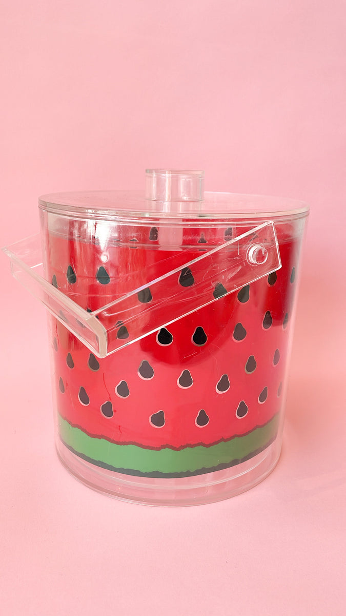Vintage Watermelon Ice Bucket – The Apartment TO